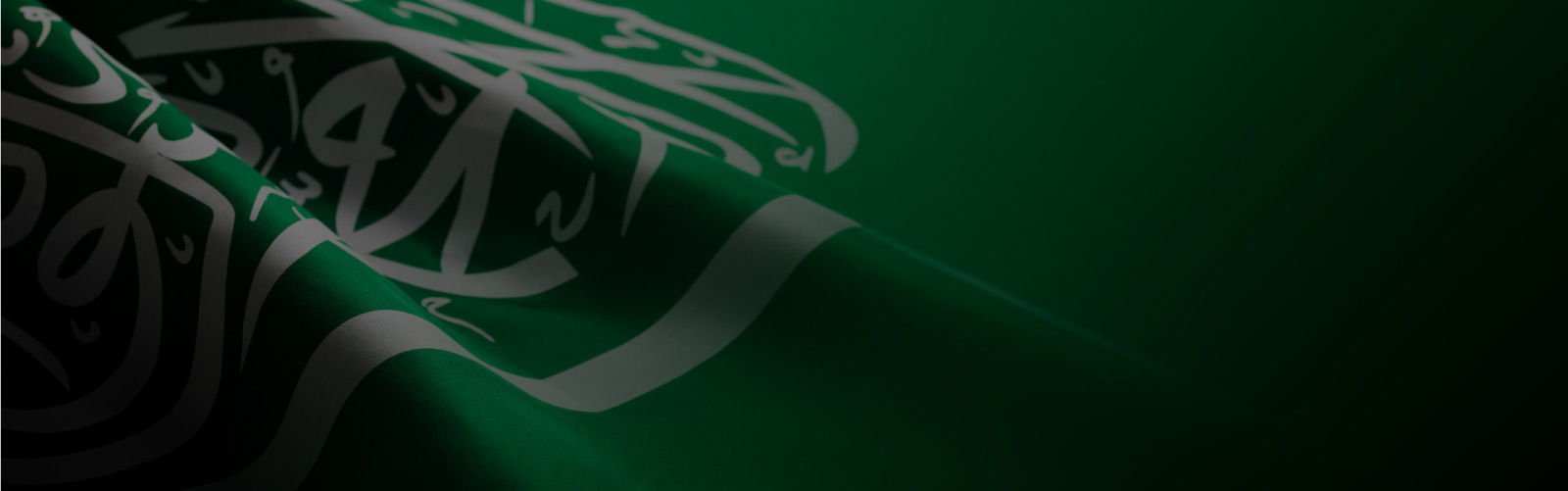 ca.cst.gov.sa - urlscan.io